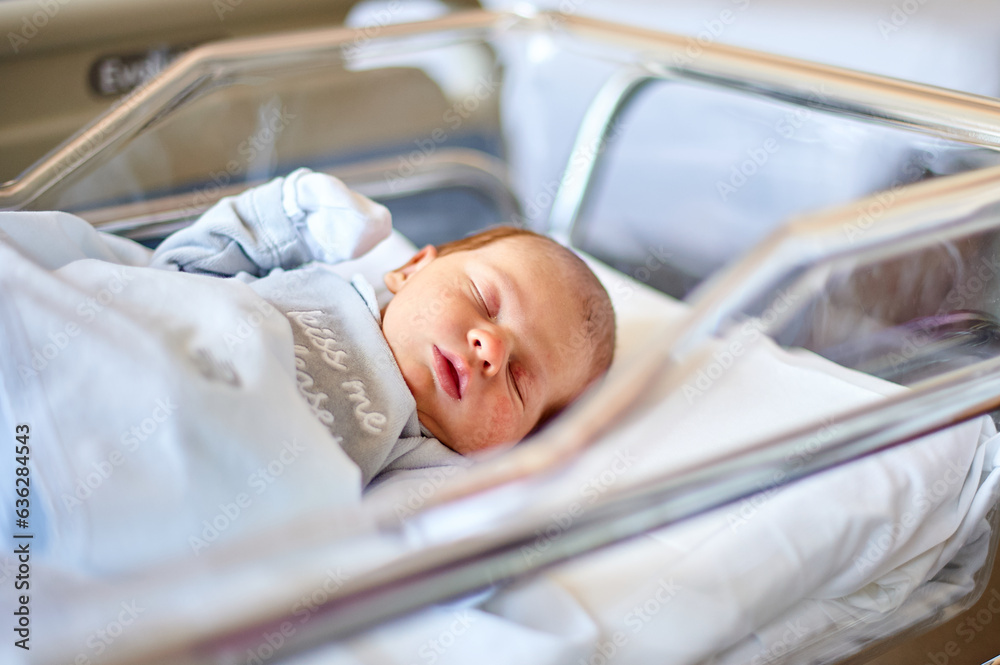 Newborn baby sleeping in its hospital crib Stock Photo | Adobe Stock