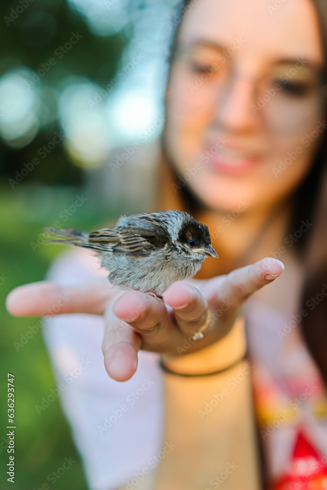 woman with a bird in her hand.love for animals and birds.animal rescue ...
