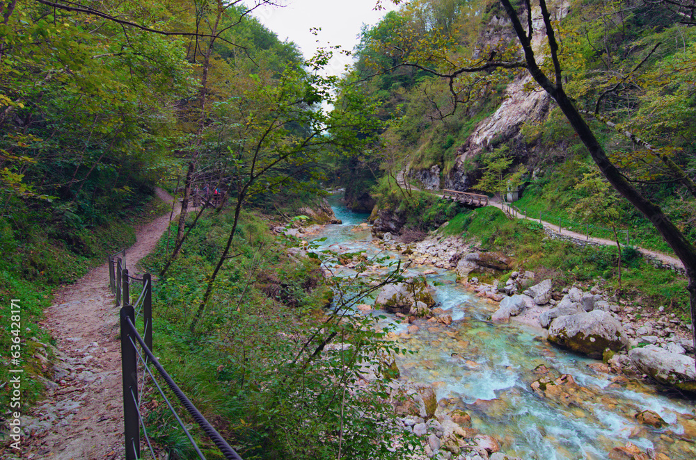 Picturesque natural composition of fast winding stream with pathway ...