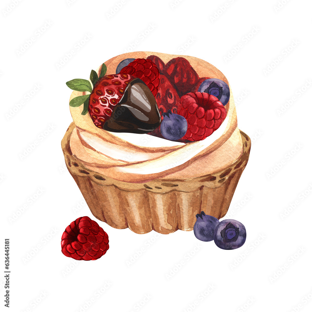 Watercolor dessert with wildberries, baked tart with raspberry ...