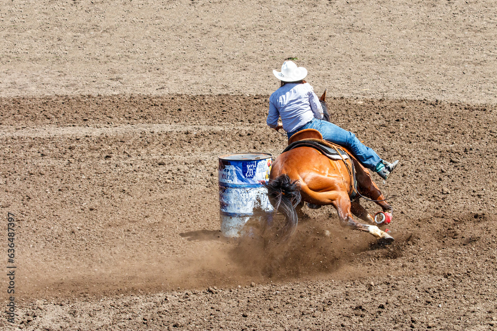 A cowgirl is riding a horse in a rodeo. She is competing in a barrel ...