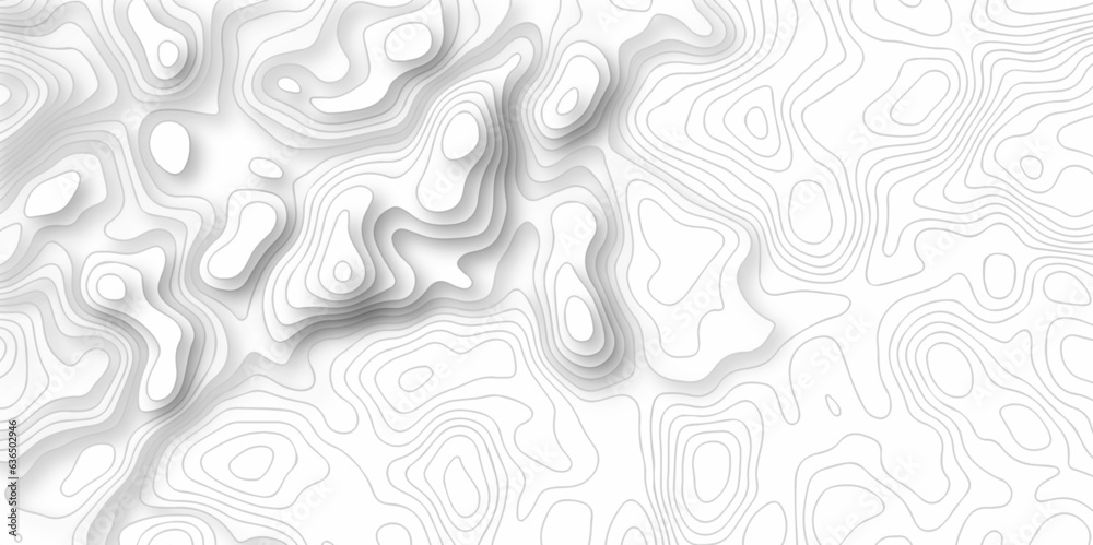 Topo contour map on white background, Topographic contour lines ...