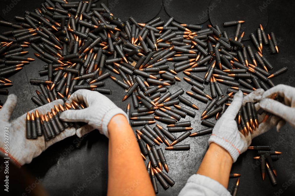 Sorting and selective quality control of weapon cartridges. Hands of ...
