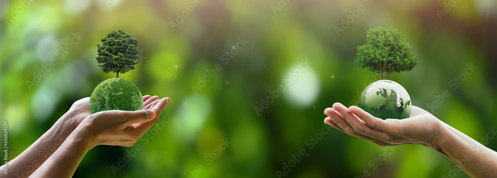 world environment day conserve the ecosystem Save the planet with CSR ...