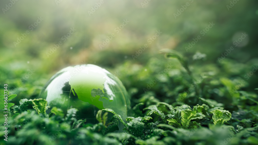 net zero Carbon neutral concepts for net zero emissions, environmental ...