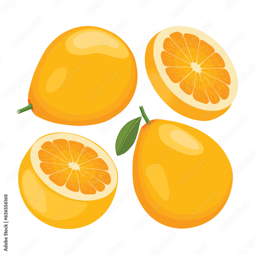 Vector illustration red, green and yellow pomelo in cartoon flat style ...