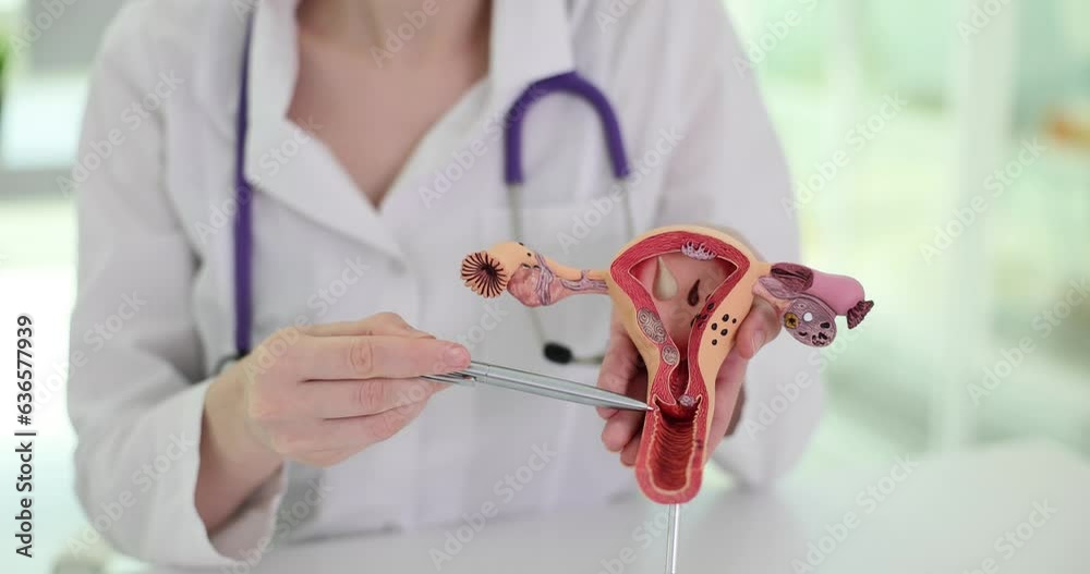 Vidéo Stock Female specialist doctor demonstrating artificial uterus ...