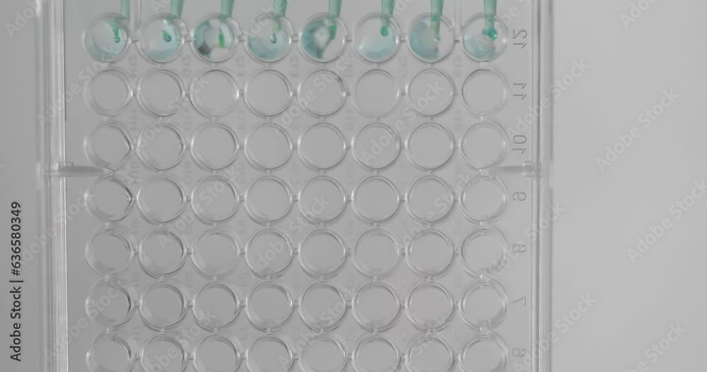 Pouring liquid into glass test tubes for laboratory examination ...