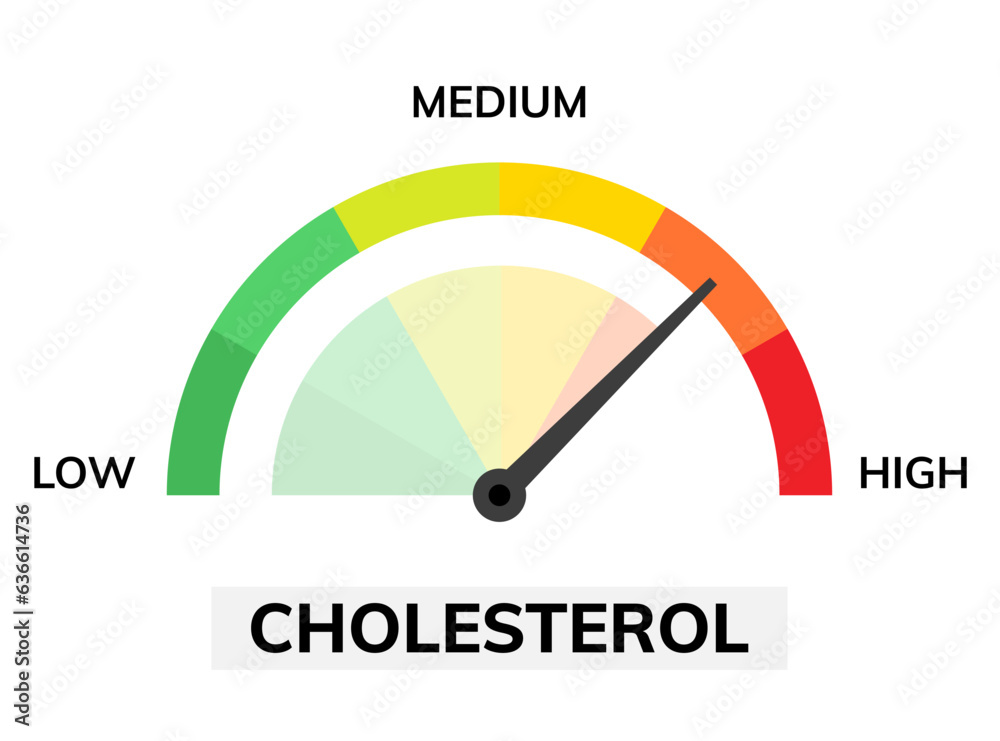 Cholesterol meter test level icon. Low high cholesterol health check ...