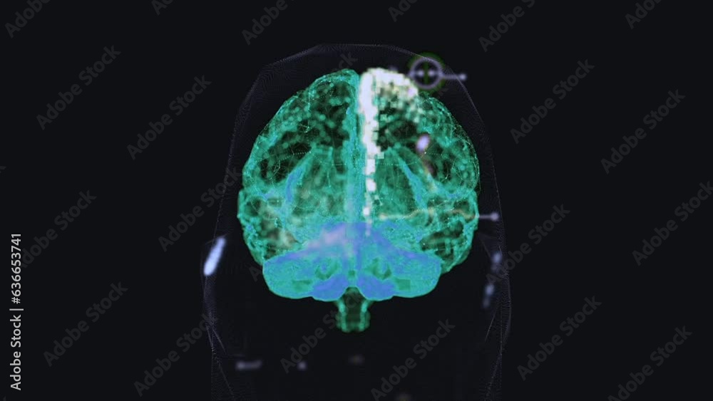 Anatomy of the human brain. 3D Render. Human brain wire frame hologram ...