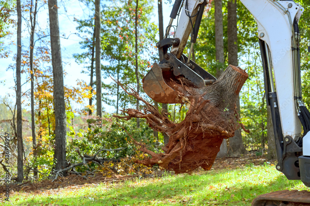 Remove roots, clear land for housing complex construction using skid ...