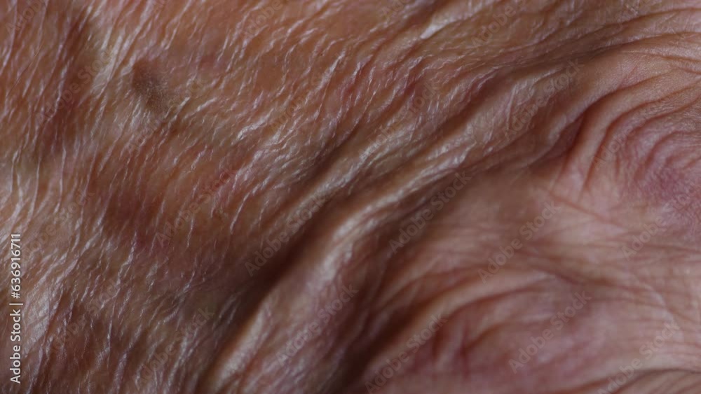 close-up of the skin of the hands of an elderly person, the texture of ...