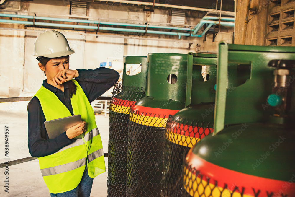 Foto de Safety officer female inspector working in factory safety ...