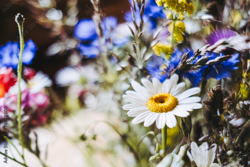 Bouquet de fleurs colorées champêtres cueillies en campagne en ...