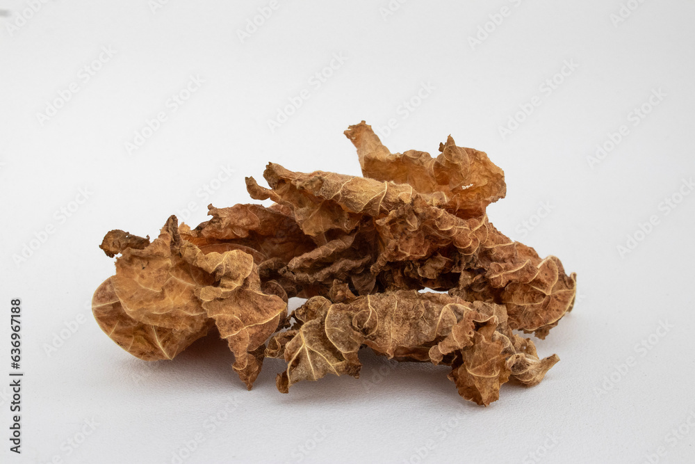 Studio image of crumpled and brittle dried brown leaves in a stack on a ...