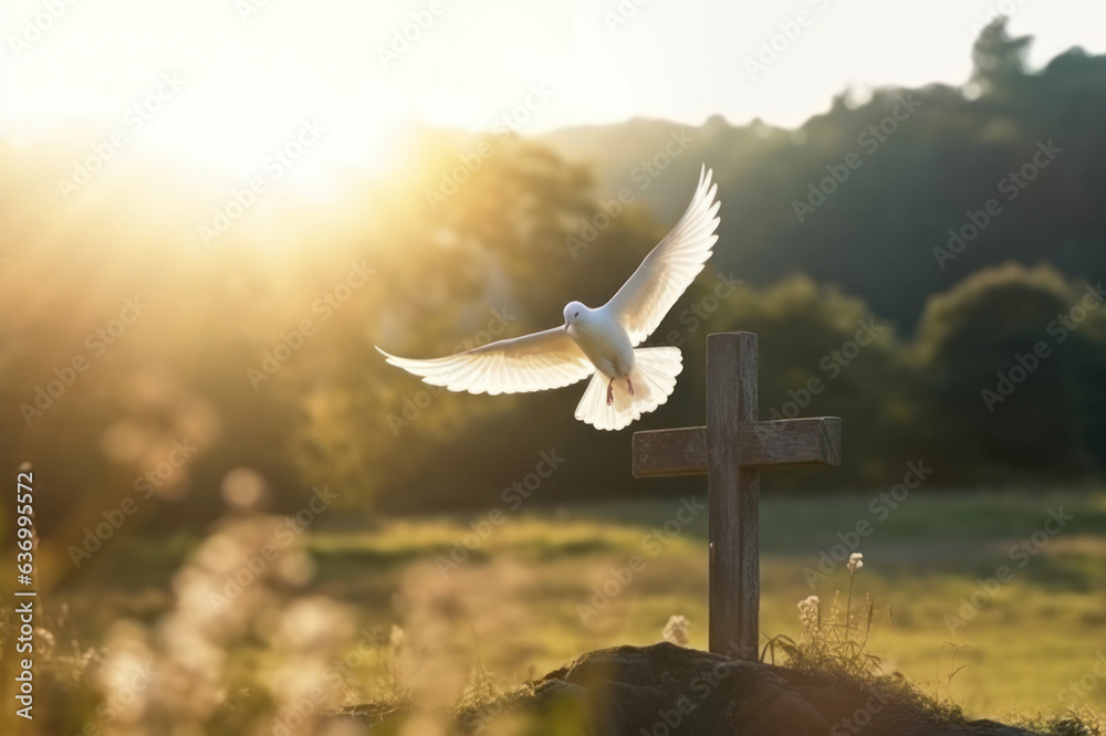 White dove bird fly over wooden cross in morning sunlight. Created ...