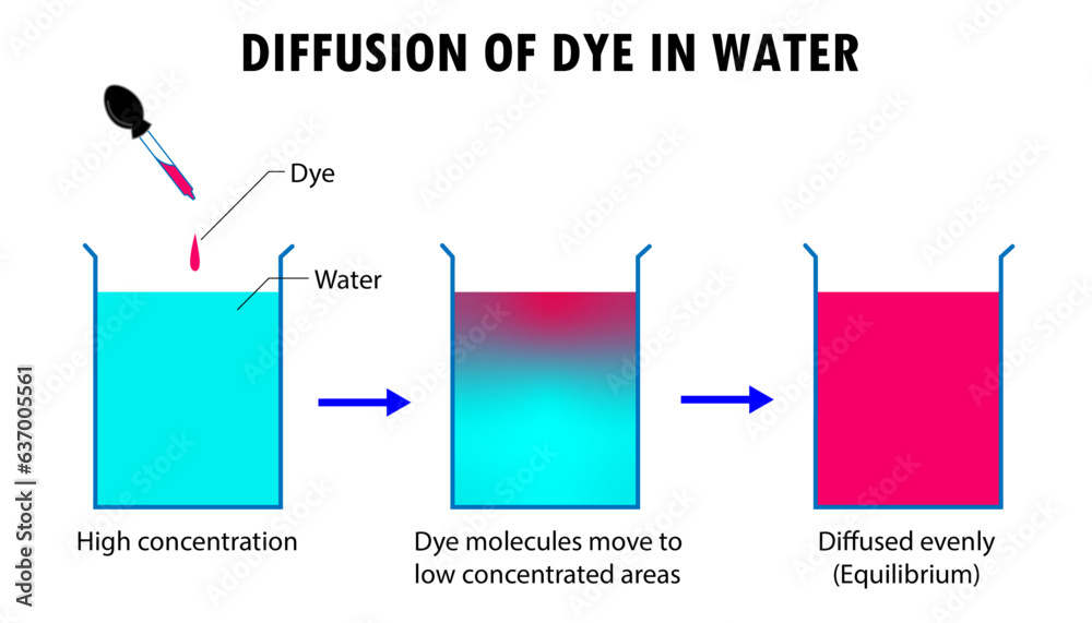 Diagram of the process of diffusion, movement of particles from highly ...