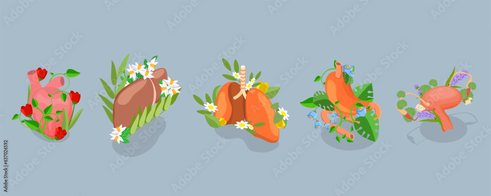 3D Isometric Flat Vector Set of Human Organs With Flowers, Floral ...