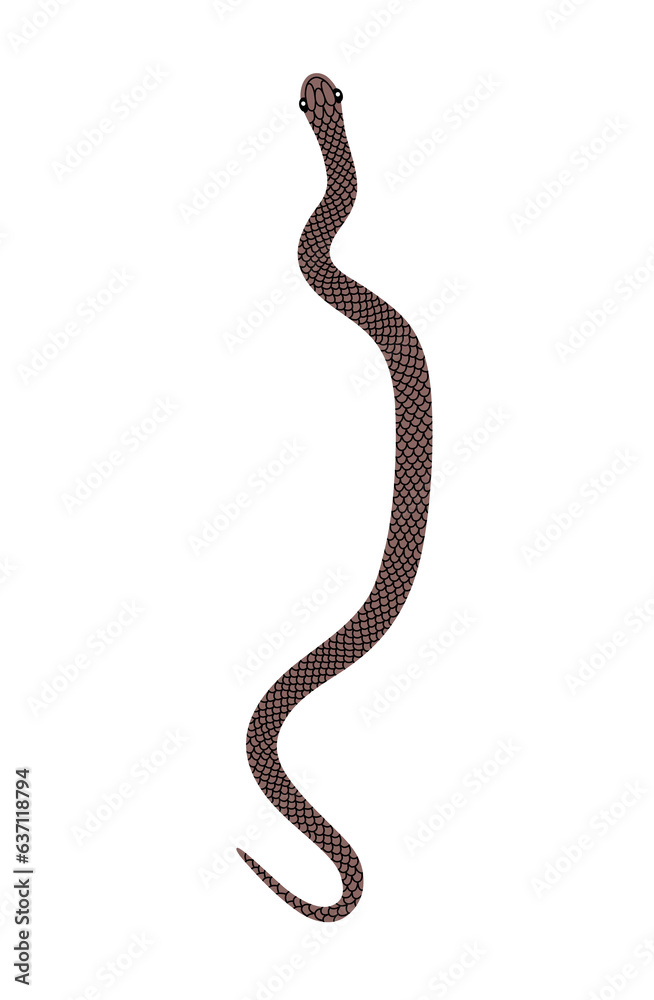 Vector hand-drawn illustration of brown Snake top view. Isolated on ...