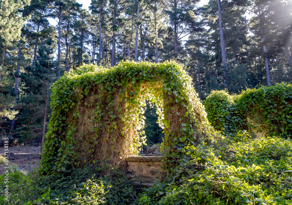 Poster stone wall with overgrowth – Wall Art | UkPosters