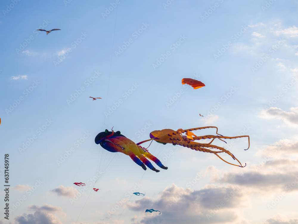 Kite Festival. Kites in the sky. A spectacle in the sky. Wind is like a ...