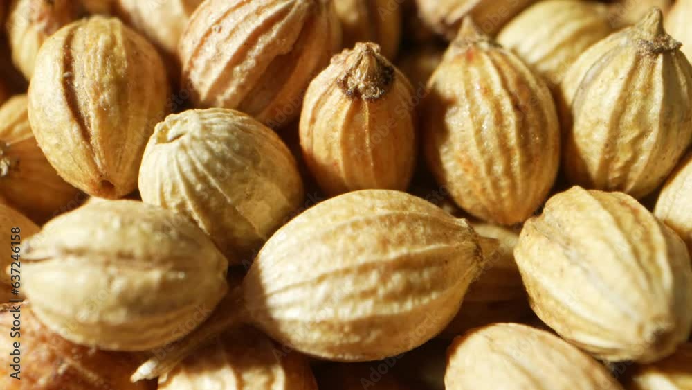 Explore coriander seeds up close in this mesmerizing macro video. Witness intricate textures ...