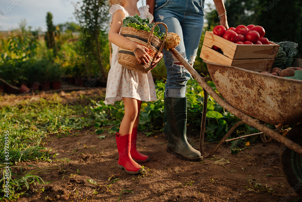 Depiction of mother and daughter moving vegetables trough their garden ...