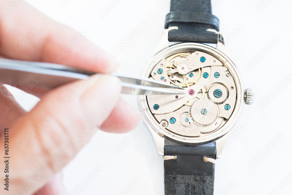 Timeless Precision: A Watchmaker's Artistry in Action Stock Photo ...