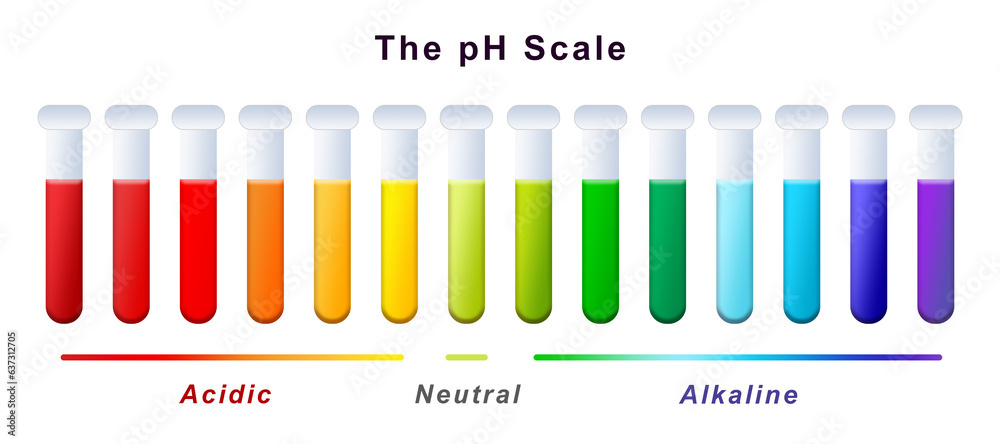 pH Scale Acidity Concept Diagram. Science Educational Learning Concepts ...