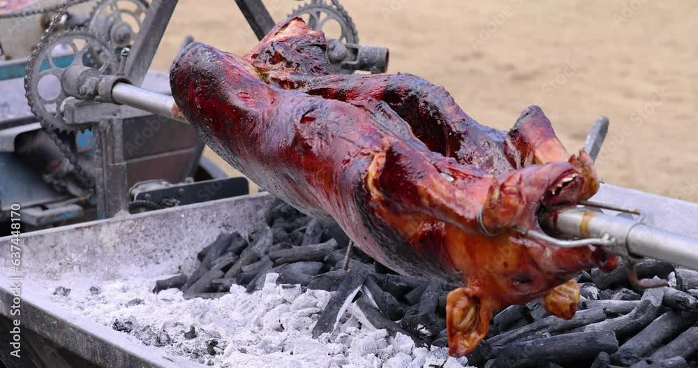 Roasted whole pig on fire. Grilled pig on skewer. Roasting pig on a ...