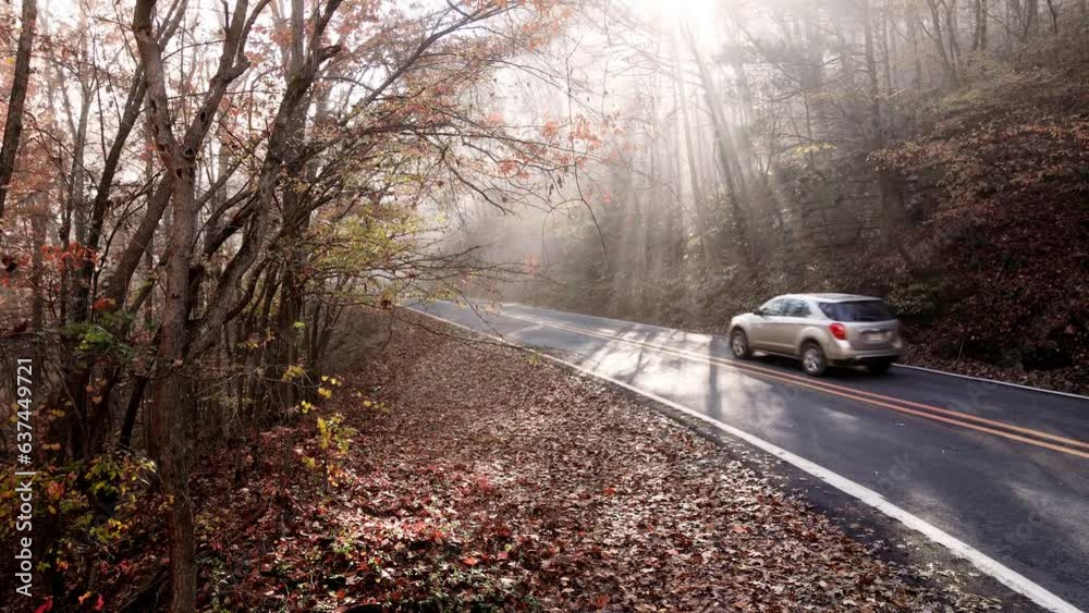 Cars drive through light rays shining through forest trees in the ...