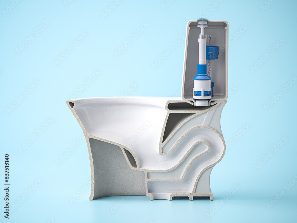 Cross section of toilet bowl. Structure of bowl and toilet tank. Stock ...