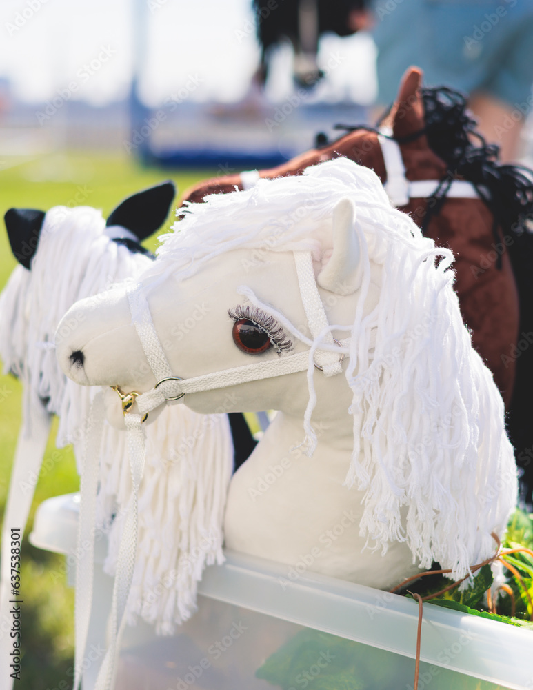 Hobby horsing competition on a green grass, hobby horse riders jumping ...