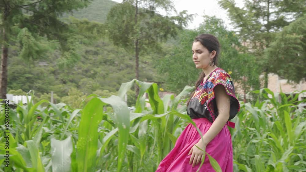 Young Hispanic woman with traditional Mexican dress walking trough the ...