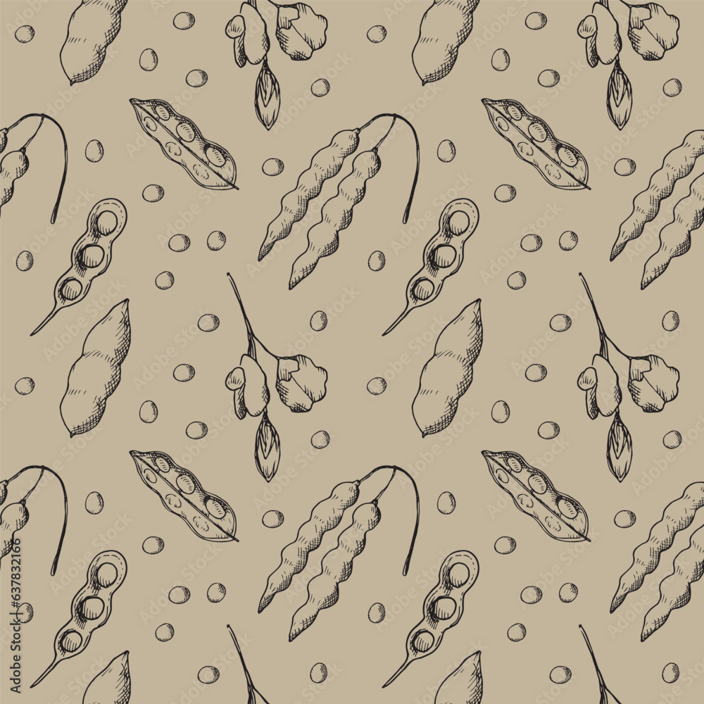 Soybean Seamless pattern with beans soya hand drawn vector illustration ...