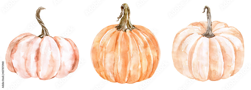 A watercolor illustration of pastel-colored pumpkins, isolated on white ...
