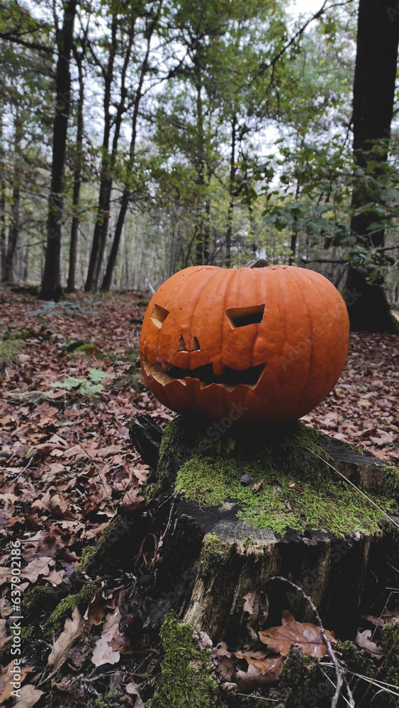 Jack's head in the forest. Pumpkin in the woods for Halloween. Stock ...