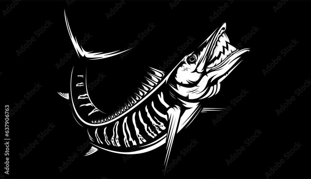Vector Illustration of a wahoo. Acanthocybium solandri. A scombrid fish ...