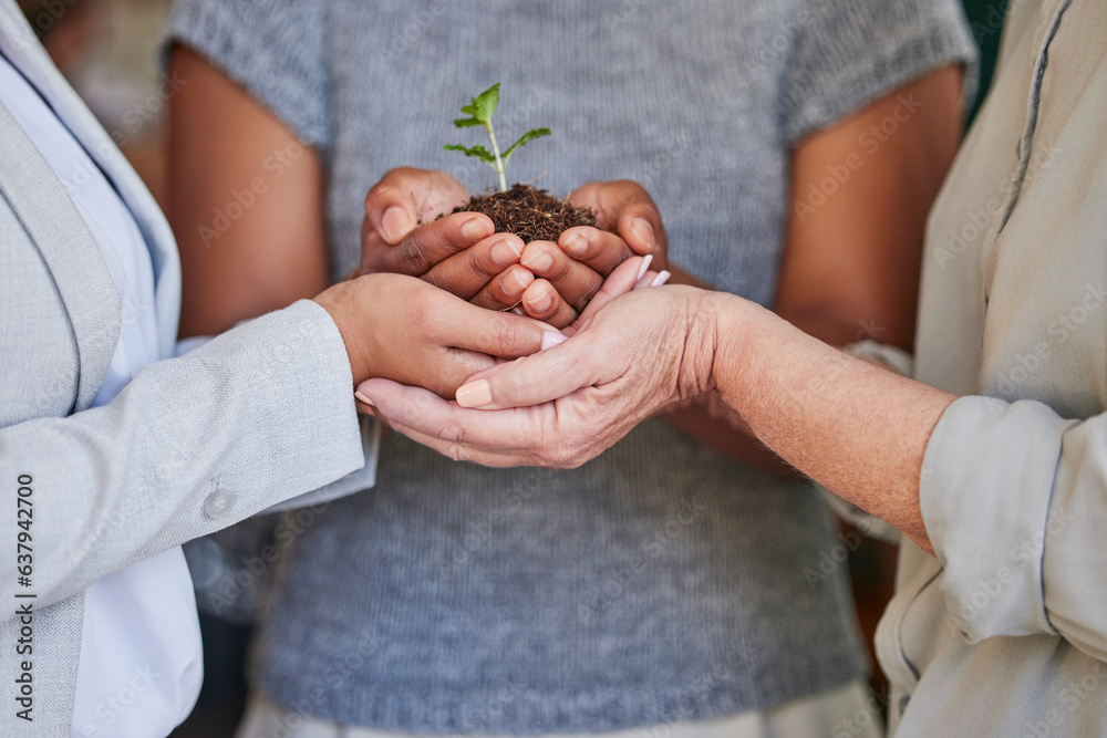 Plant grow, hands and professional people support sustainability, green ...