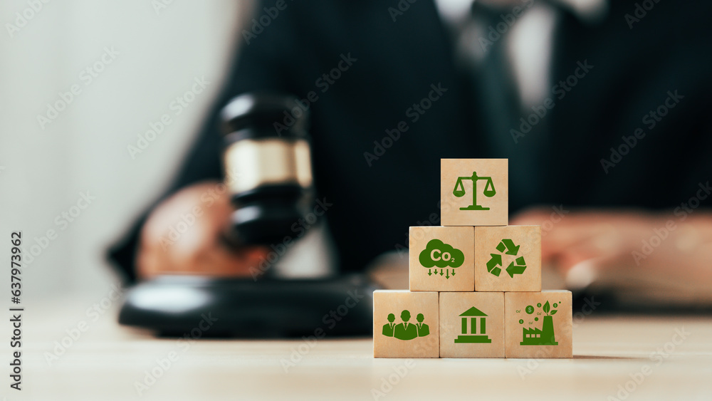 The concept of green law. Carbon tax. Environmental and social ...