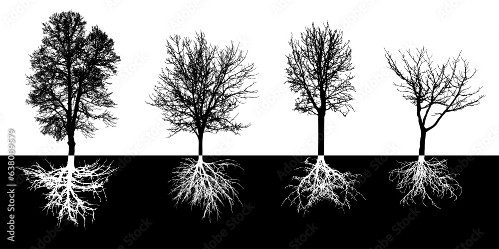 Bare deciduous trees with root system, silhouette. Black trees and ...