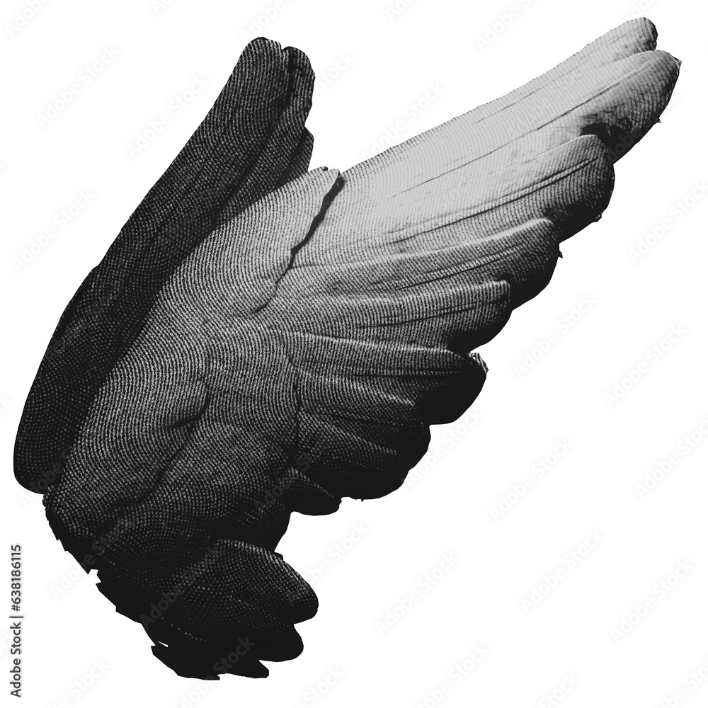 Wings engrave sketch. Hand drawn heraldic bird or angel wings, Scratch ...