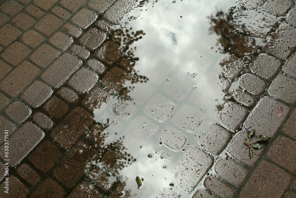 Puddle of rain water on paved pathway outdoors, above view Stock Photo ...
