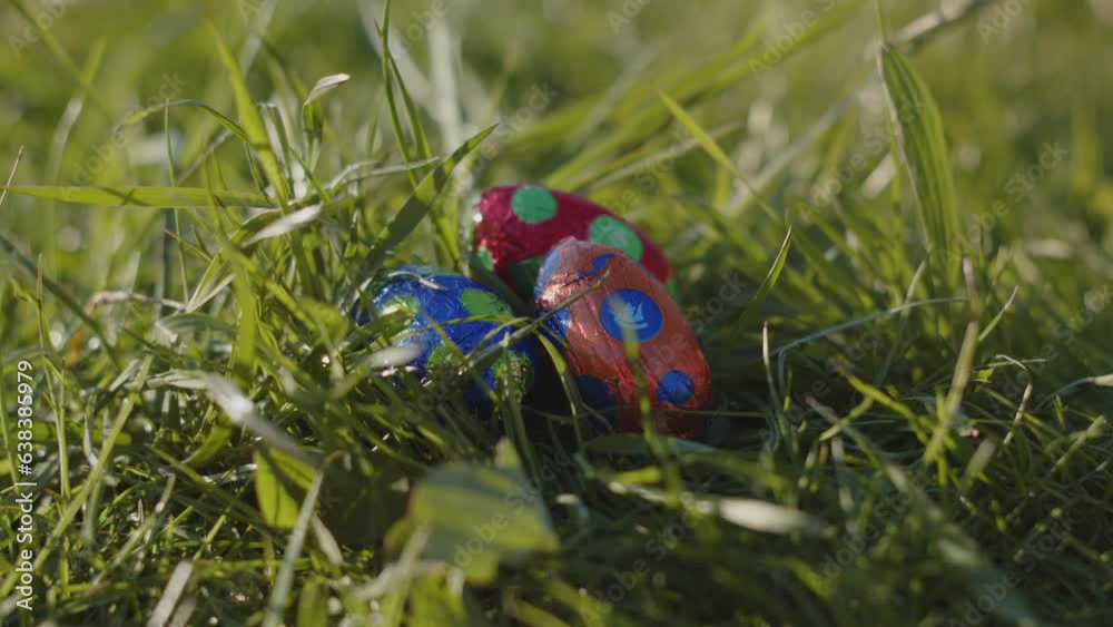 Three little easter chocolates in a tuft of grass in a garden during ...