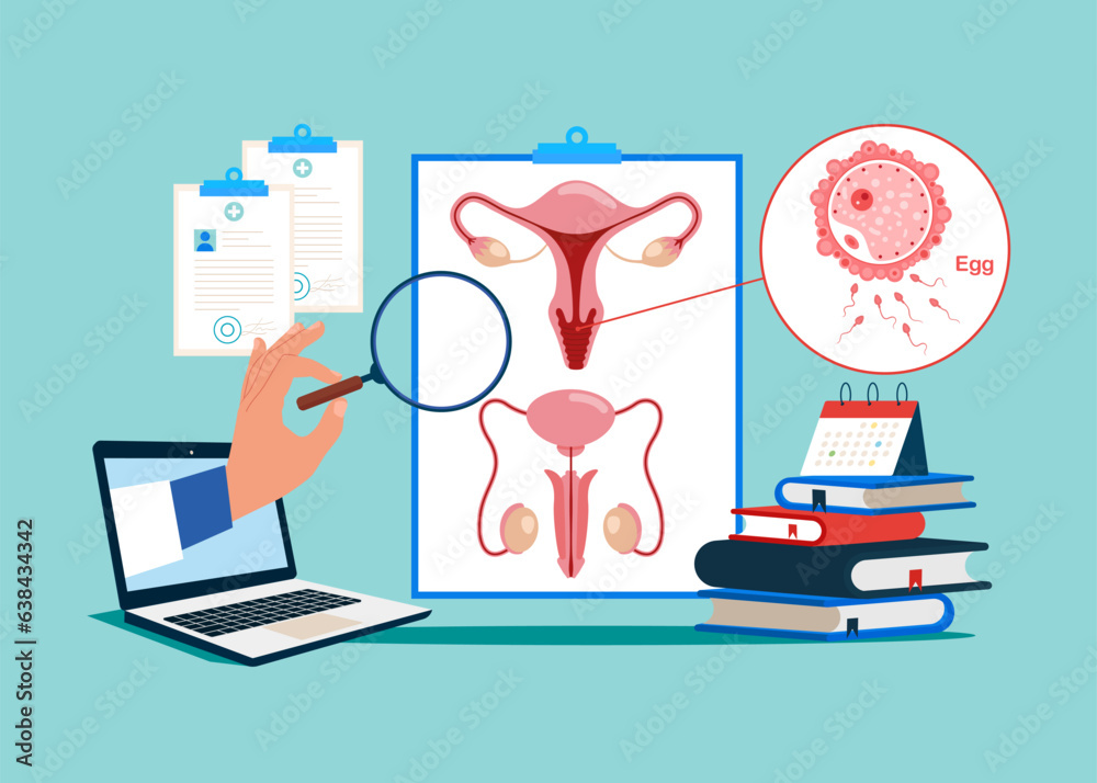 Studying donor inner organ. Male and female reproductive system. Vector ...