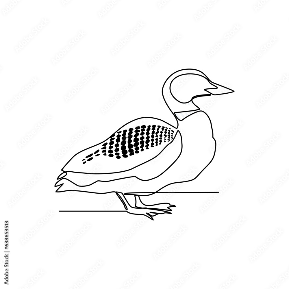 One continuous line drawing of Loon vector illustration. Unravel the ...