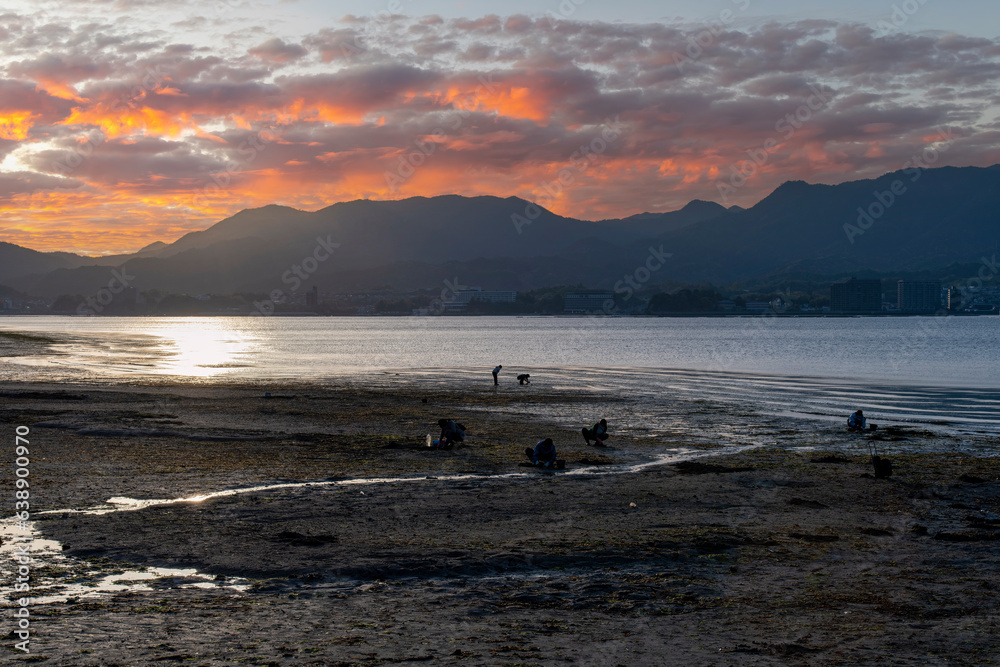 Panoramic view over shoreline of Miyajima (Itsukushima) Island, Japan ...