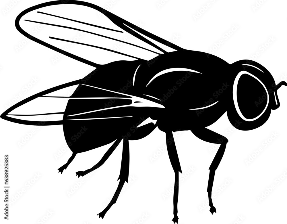 Black And White Fly Clipart