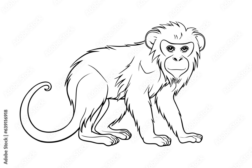 Monkey pencil drawing coloring book. Vector illustration Stock Vector ...