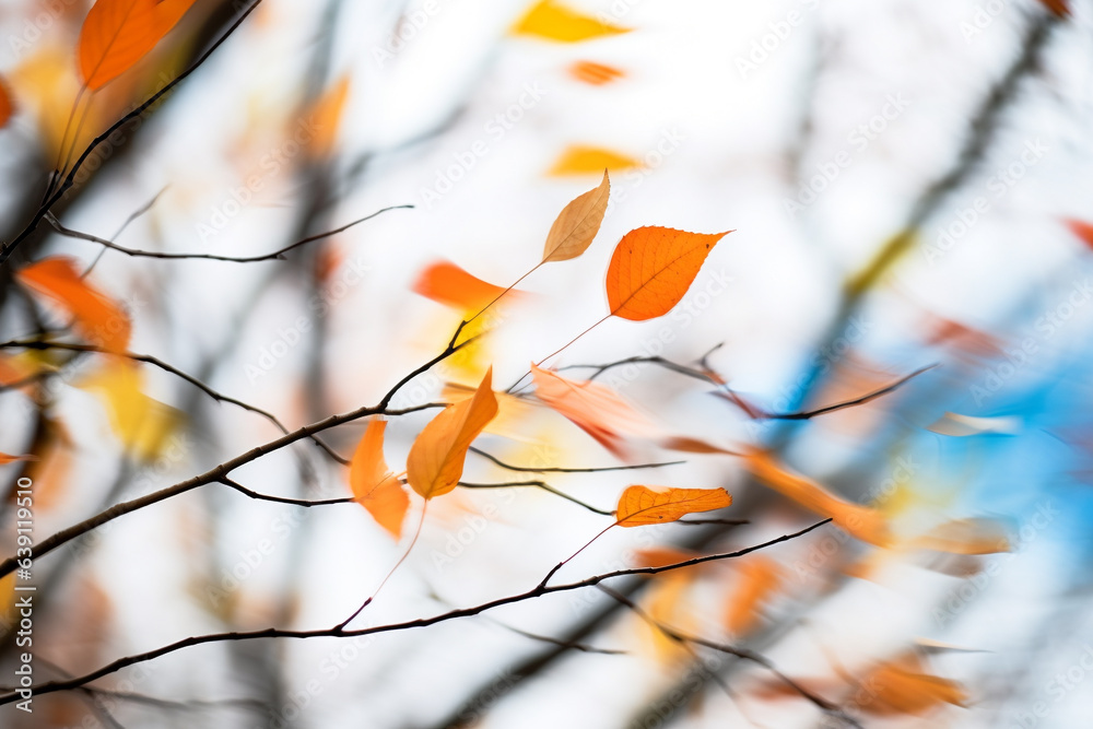 Foto de relationship between trees and the wind, with leaves rustling ...